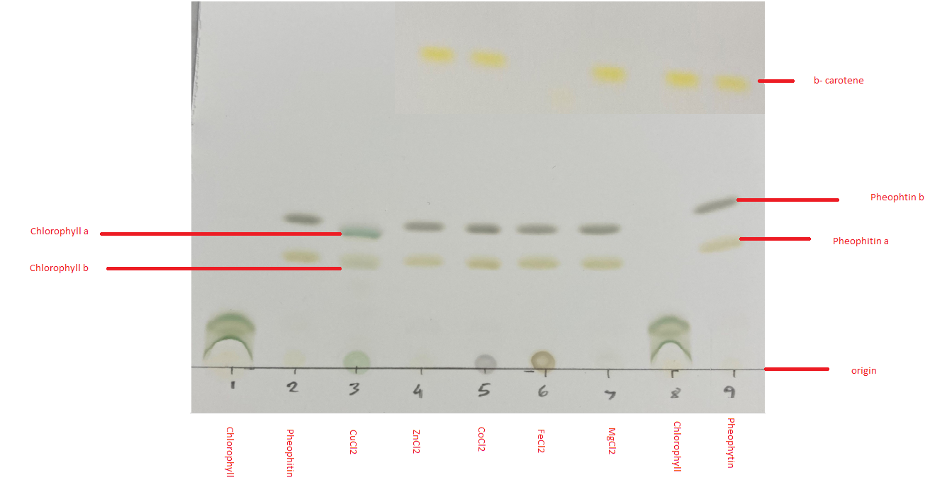 Solved Based on the the experiment shown in 1a, i) describe | Chegg.com