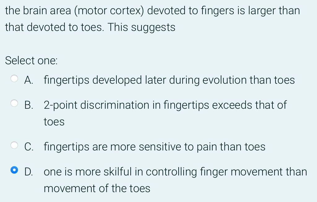 Solved the brain area (motor cortex) devoted to fingers is | Chegg.com
