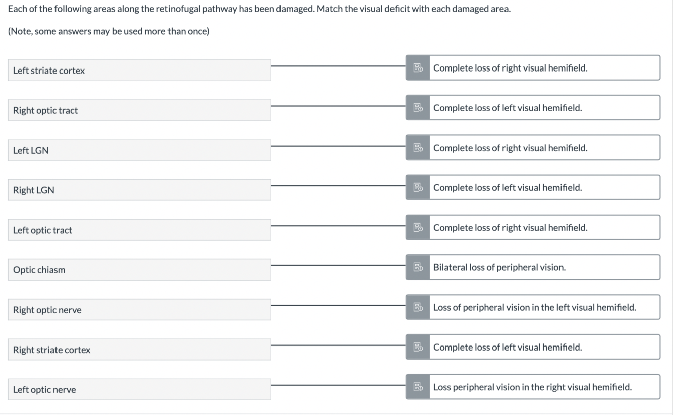 Solved Each of the following areas along the retinofugal | Chegg.com