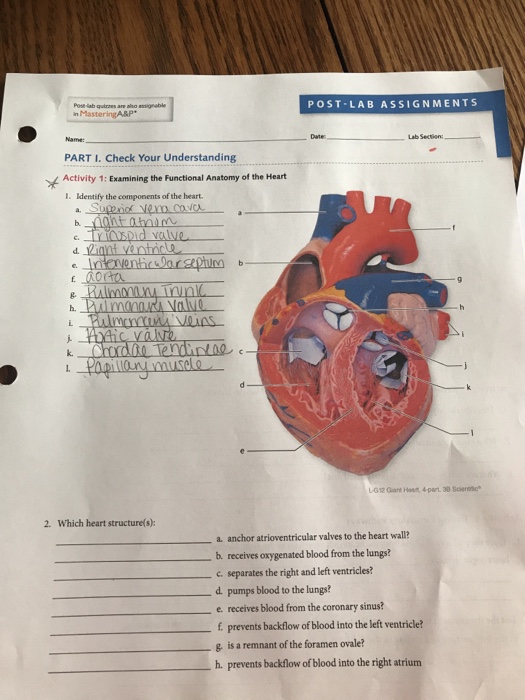 Solved Post lab qutrzes are alho assignable POST-LAB | Chegg.com