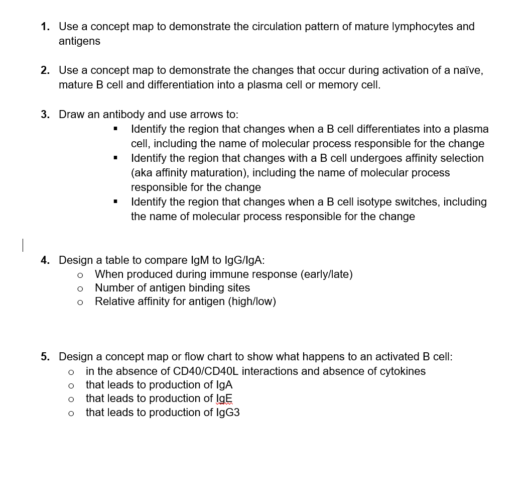 Solved 1. Use a concept map to demonstrate the circulation | Chegg.com