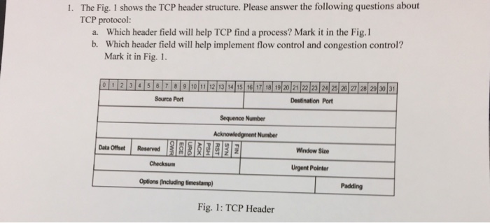 Solved The Fig. 1 shows the TCP header structure. Please | Chegg.com