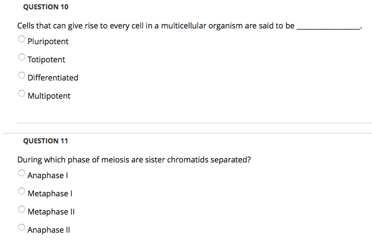 solved-ion-9-shown-in-the-picture-below-are-plant-cells-chegg