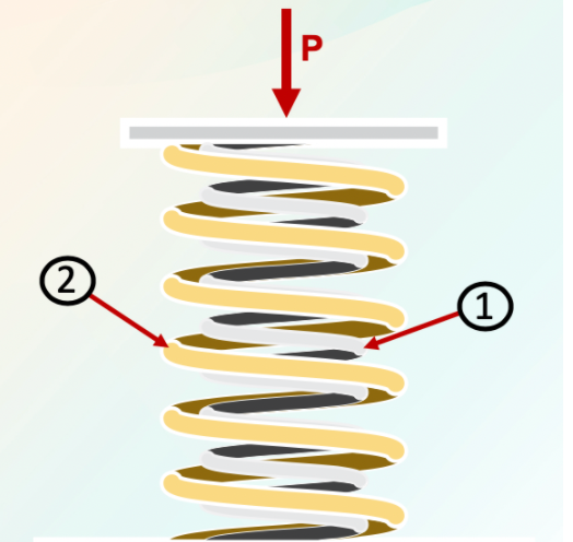 Solved 1. A load P is supported by two concentric steel | Chegg.com