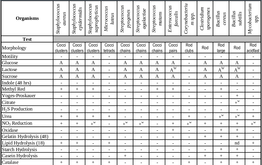 Solved Find the unknown bacteria here using two tests and | Chegg.com