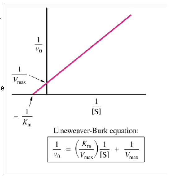 The Lineweaver‐Burke variation of the | Chegg.com