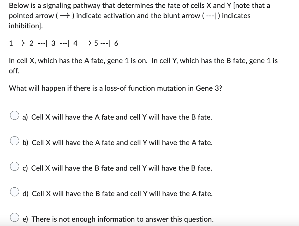 Solved Below is a signaling pathway that determines the fate | Chegg.com