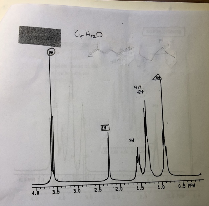 Solved What would be the structure of C5H12O H NMR? | Chegg.com