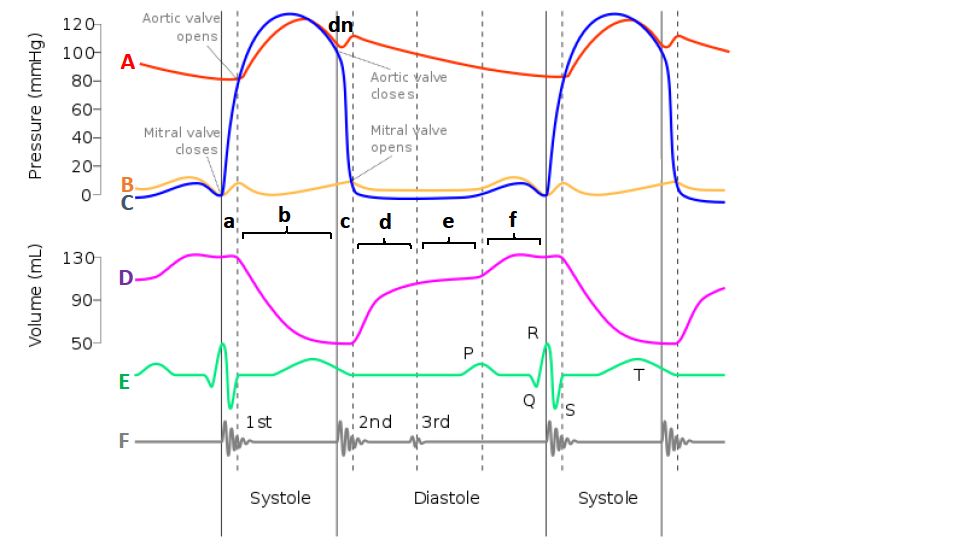Solved From the diagram, (a) During which of the intervals | Chegg.com