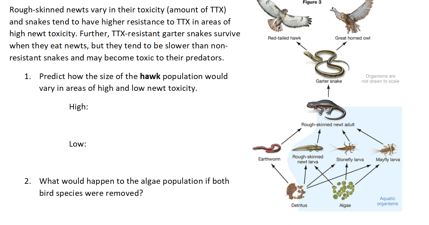 Solved Rough-skinned newts vary in their toxicity (amount of | Chegg.com