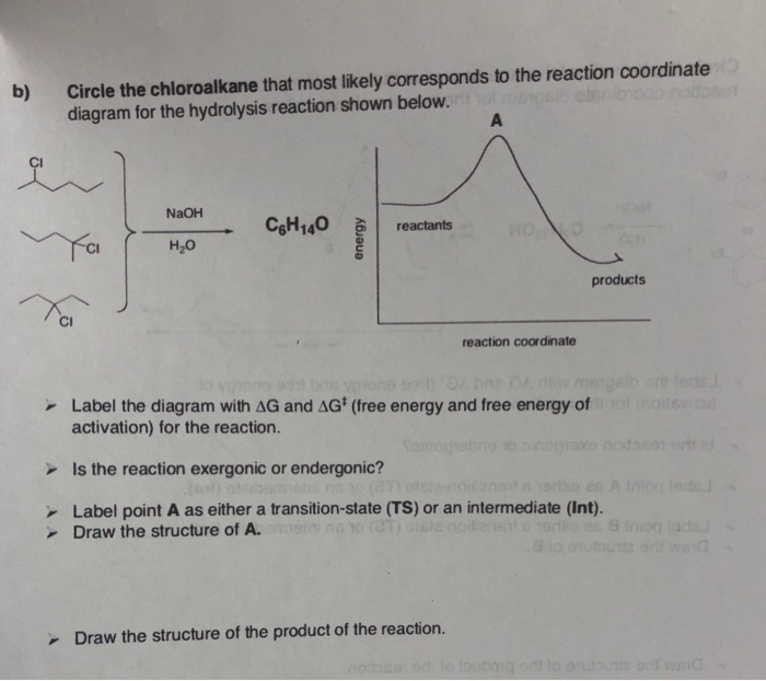 Solved b) Circle the chloroalkane that most likely | Chegg.com