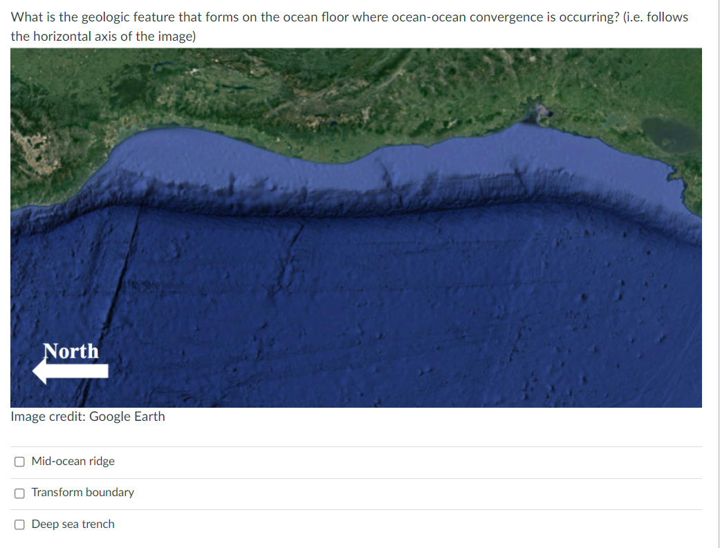 Solved What is the geologic feature that forms on the ocean | Chegg.com