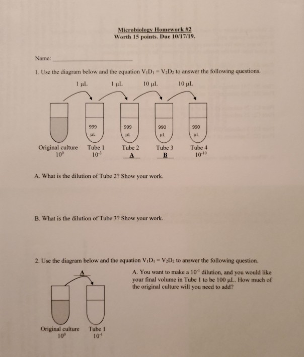 Solved Microbiology Homework #2 Worth 15 points. Due | Chegg.com