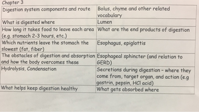 Solved Chapter 3 Digestion system components and route | Chegg.com