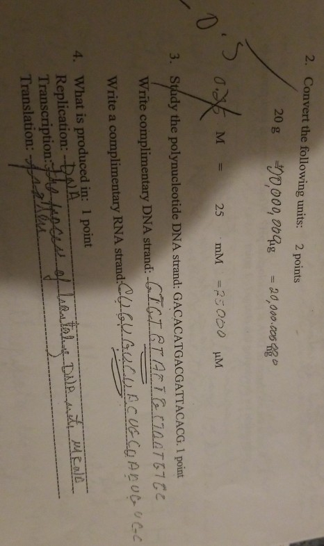 Solved 2. Convert the following units: 2 points 20g | Chegg.com