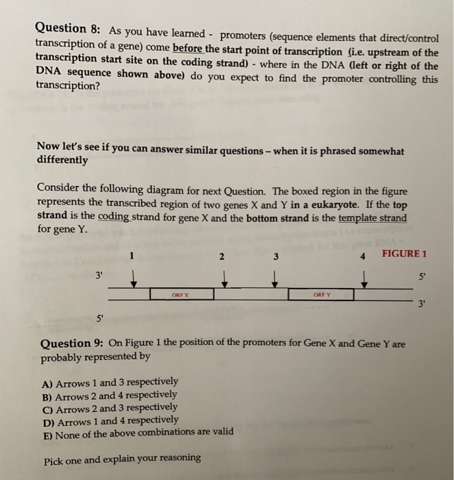 Solved Question 8: As you have learned - promoters (sequence | Chegg.com