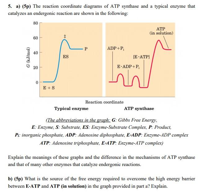 Solved 5. a) (5p) The reaction coordinate diagrams of ATP | Chegg.com