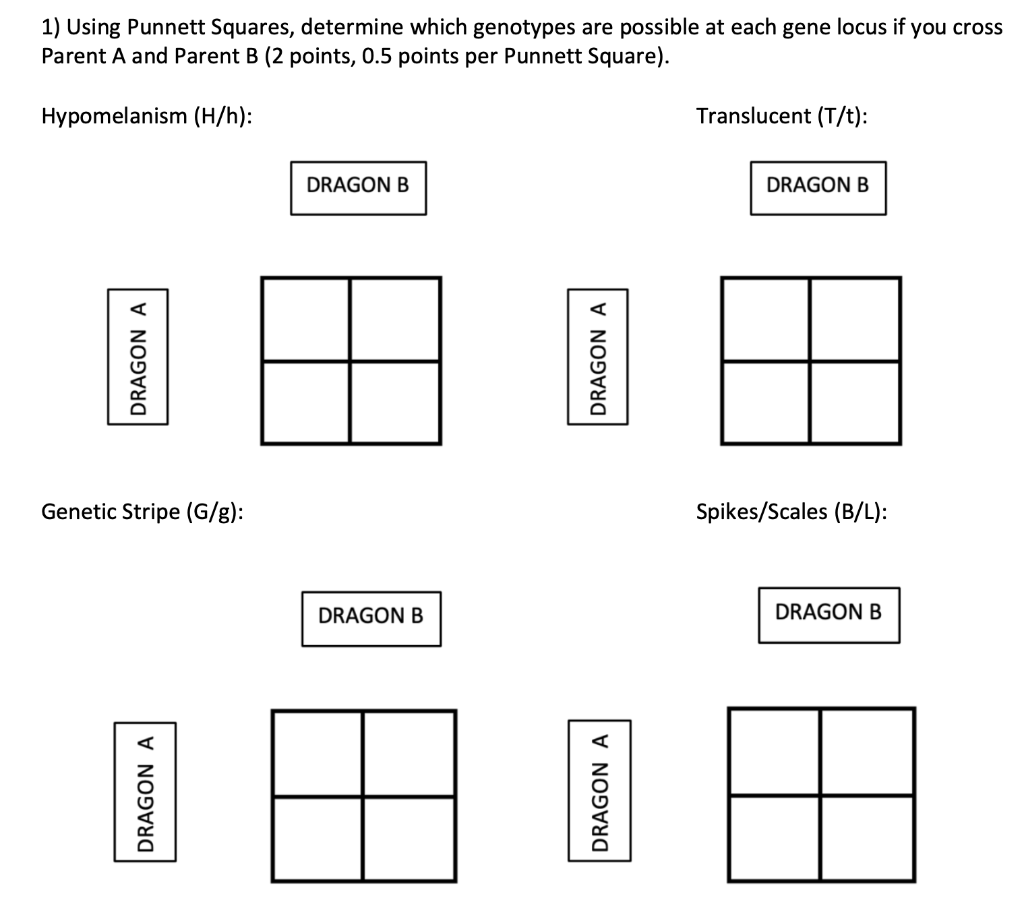 Solved Bearded Dragons can have multiple unique traits and | Chegg.com