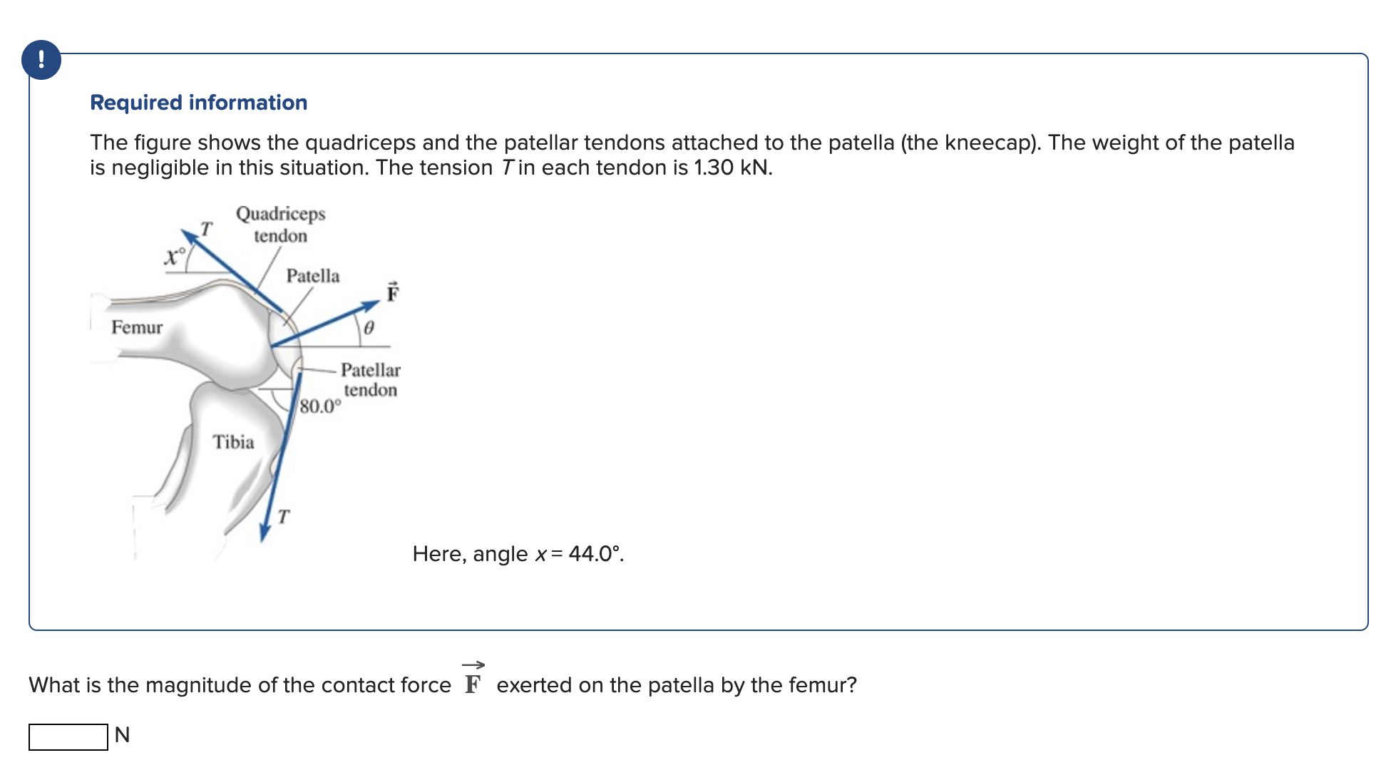 Solved Required information The figure shows the quadriceps | Chegg.com