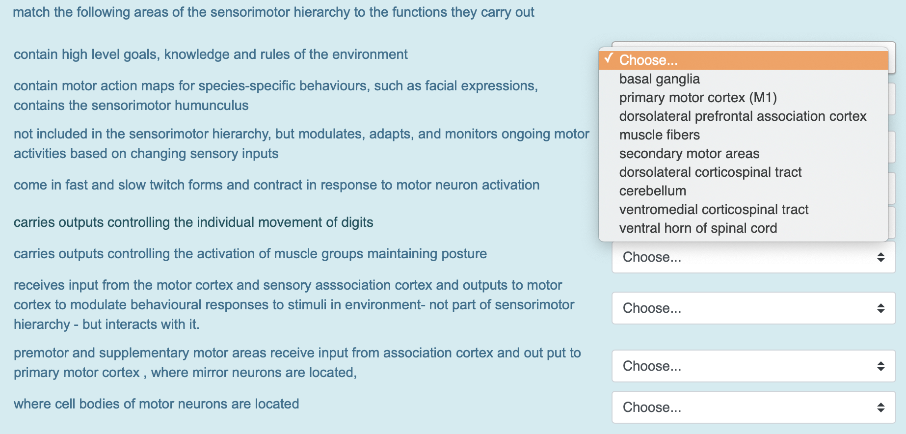 Solved match the following areas of the sensorimotor | Chegg.com