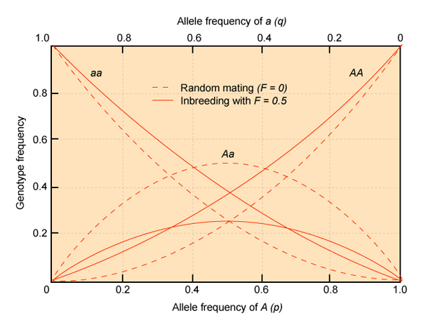 Solved Examine the following graph for changes in genotype | Chegg.com