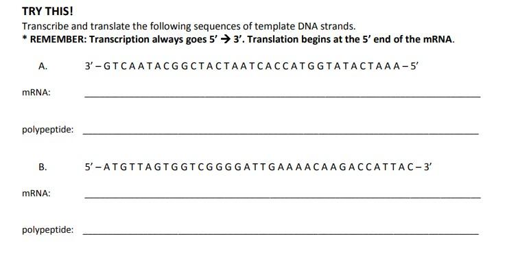 Solved TRY THIS! Transcribe and translate the following | Chegg.com