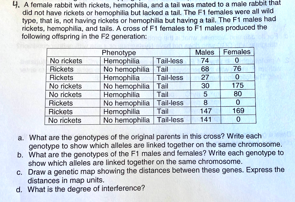 Solved 4. A female rabbit with rickets, hemophilia, and a | Chegg.com