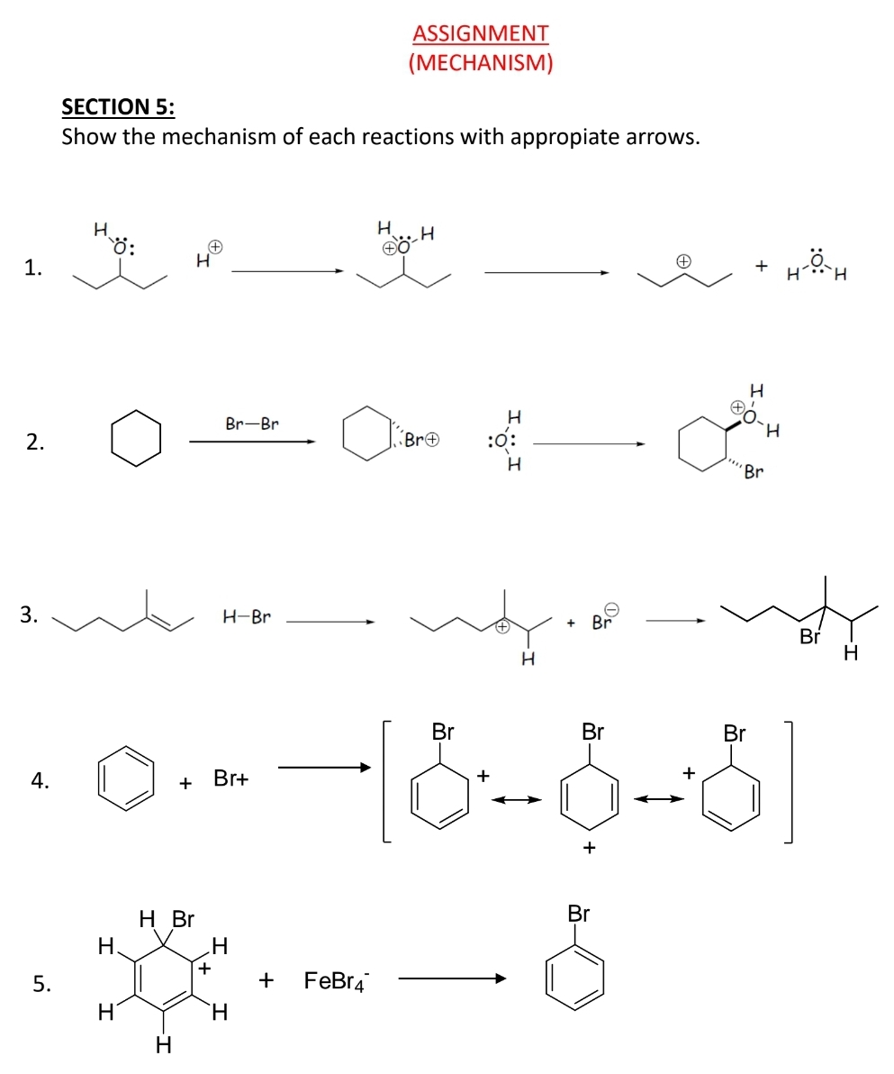 Solved ASSIGNMENT(MECHANISM)SECTION 5:Show the mechanism of | Chegg.com