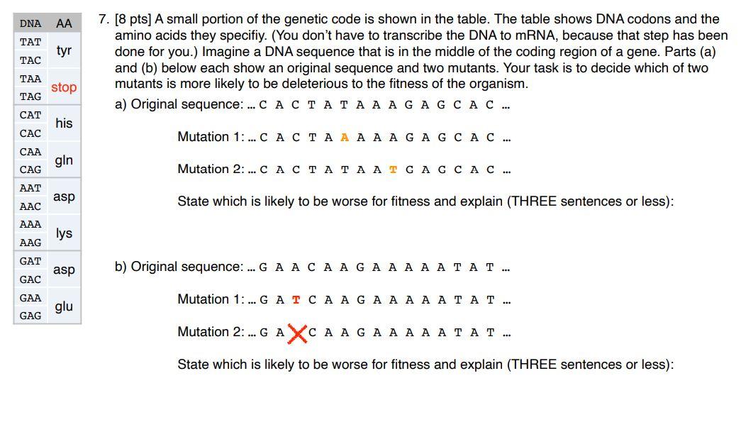 Solved DNA АА TAT tyr TAC 7. [8 pts] A small portion of the | Chegg.com