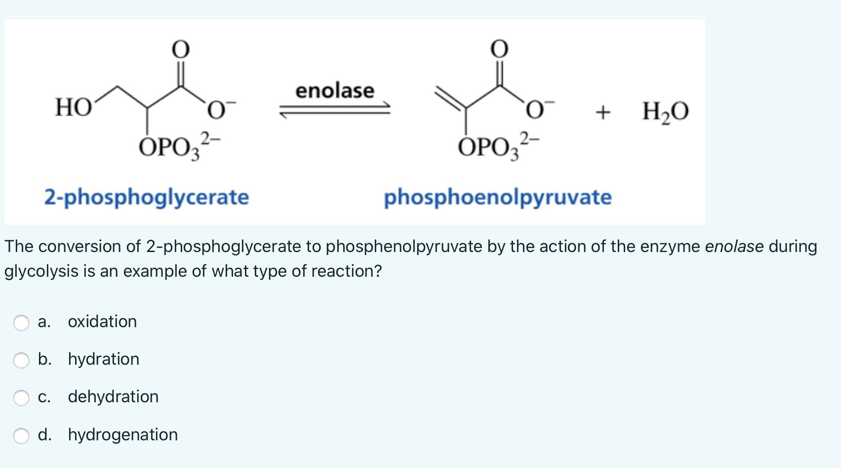 Solved O enolase HO 0 + H20 0 OPO 2 2- OPO32- | Chegg.com