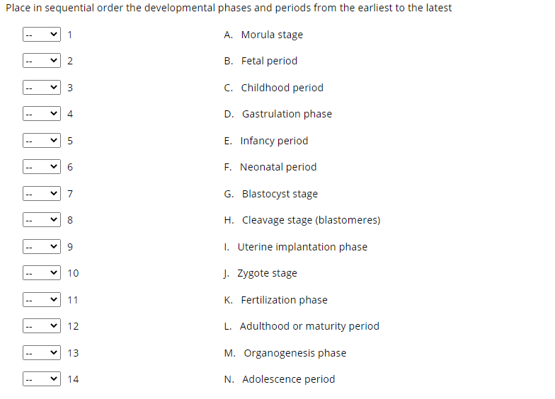 Solved Place in sequential order the developmental phases | Chegg.com