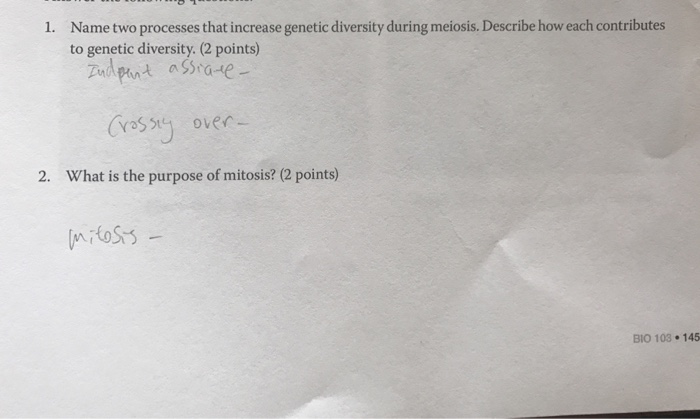 Solved Name two processes that increase genetic diversity | Chegg.com