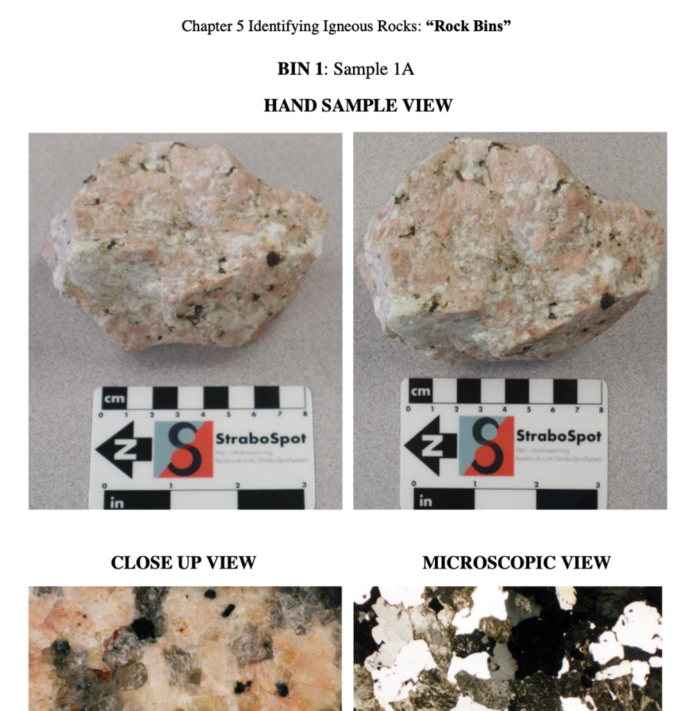 Solved Chapter 5 Identifying Igneous Rocks: “Rock Bins” BIN | Chegg.com