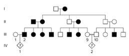 Solved This pedigree shows the inheritance of red hair in | Chegg.com