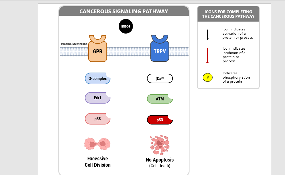 Solved Hi! Please help with completing the cancerous | Chegg.com