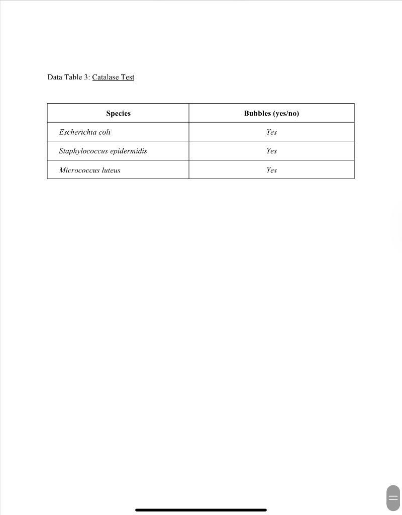 Solved Data Table 3: Catalase Test Species Bubbles (yes/no) | Chegg.com