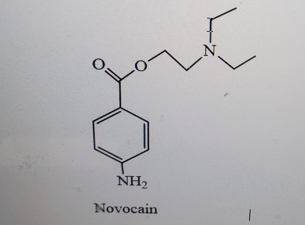 Solved We have discussed how to introduce amine groups and | Chegg.com