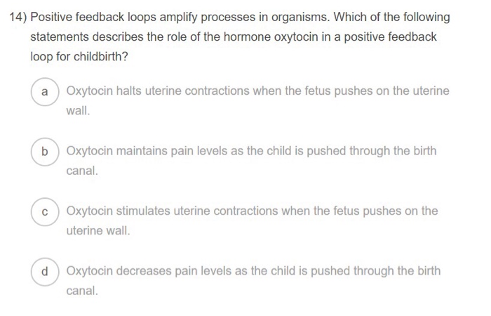 Positive Feedback Mechanism Childbirth