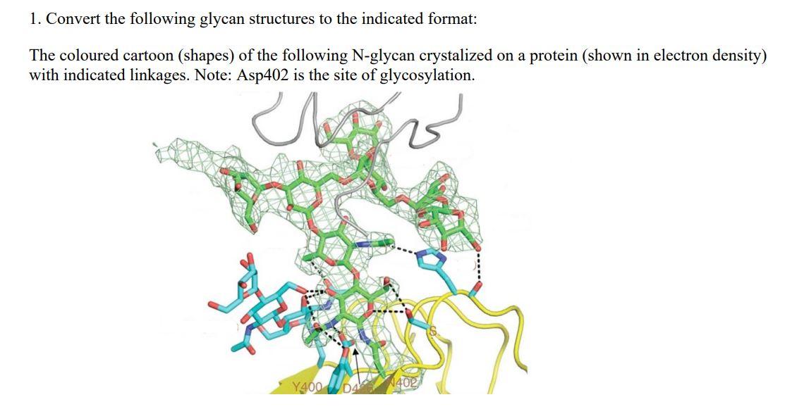 Solved Draw out the structure of the glycan in 2 different | Chegg.com