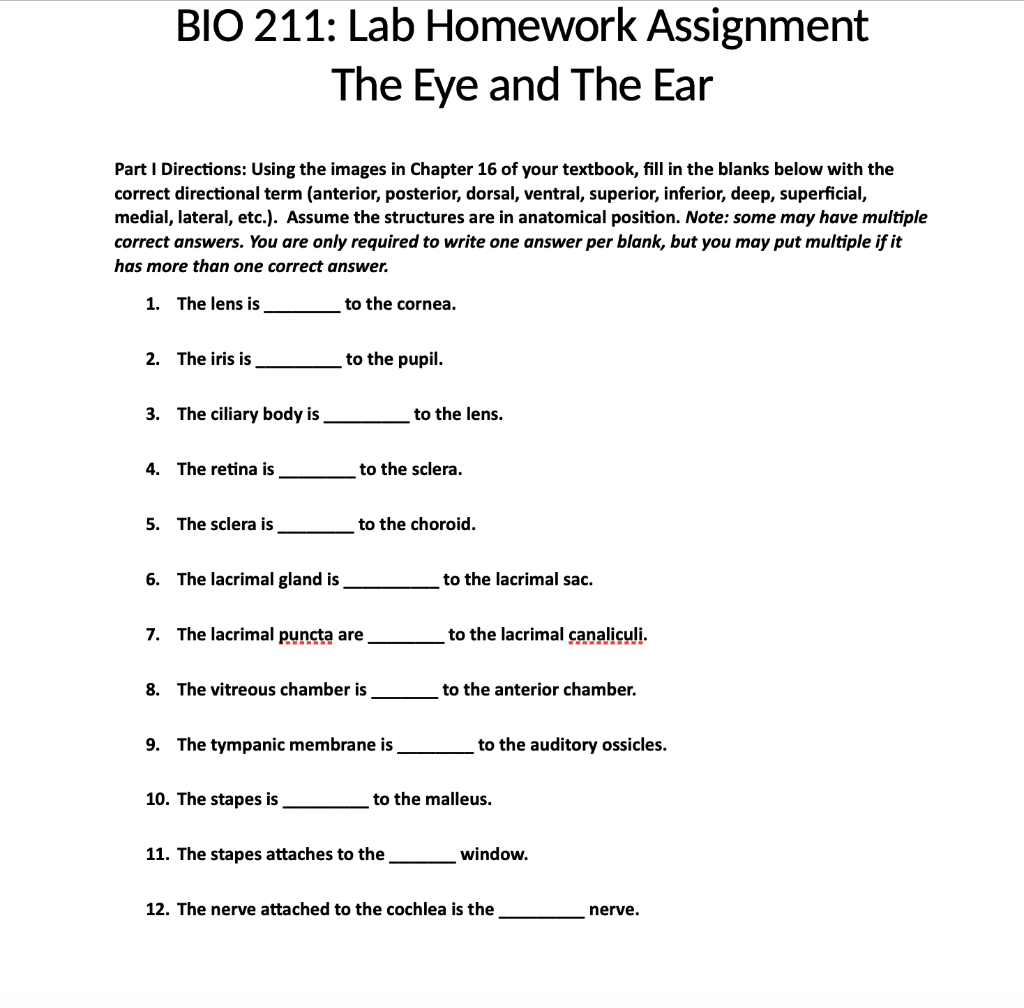 Solved BIO 211: Lab Homework Assignment The Eye and The Ear | Chegg.com