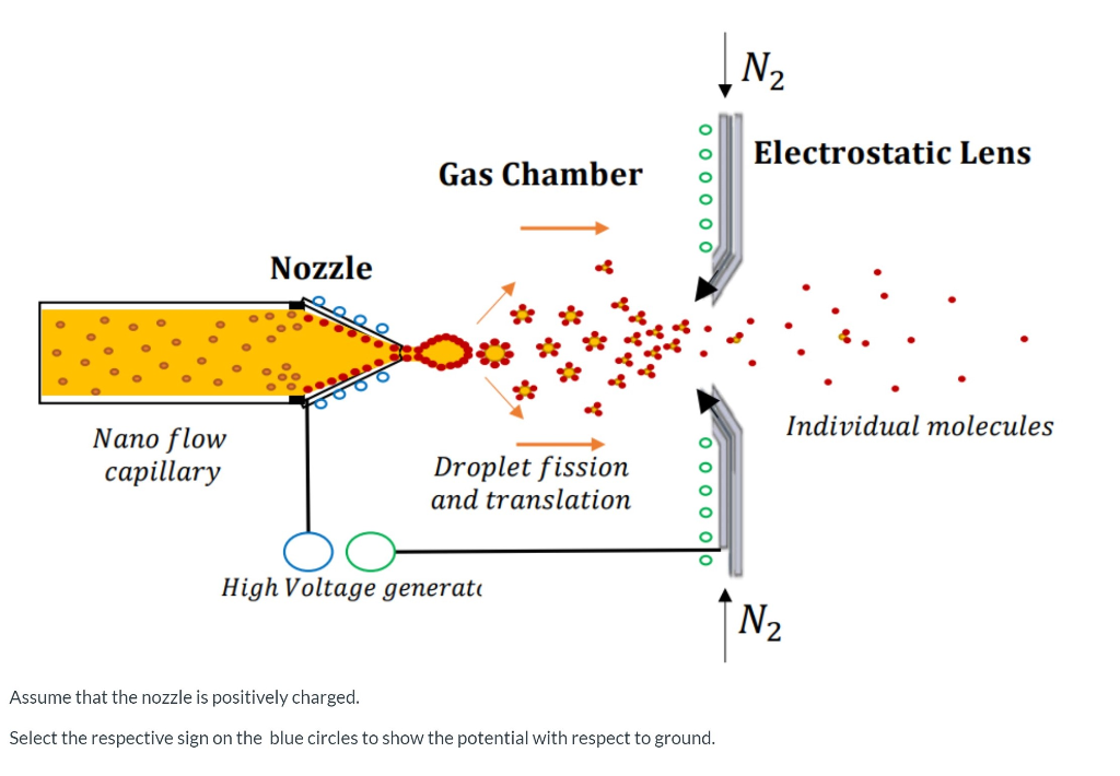 Solved IN2 Electrostatic Lens Gas Chamber оооооо Nozzle | Chegg.com