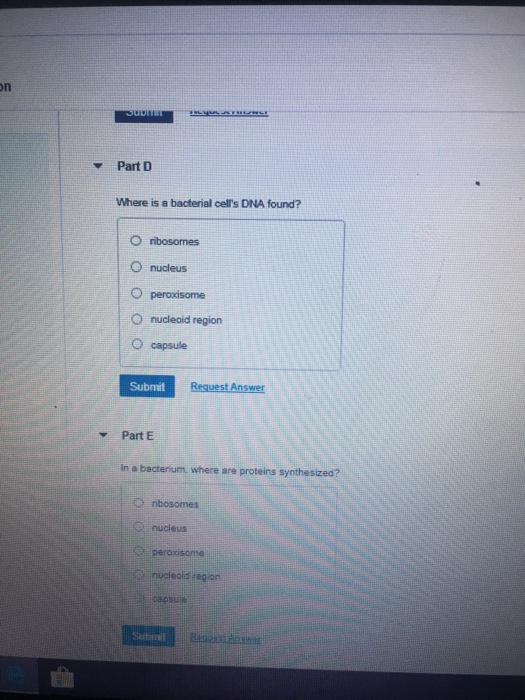 Solved PartC The DNA-containing region of this bacterial | Chegg.com