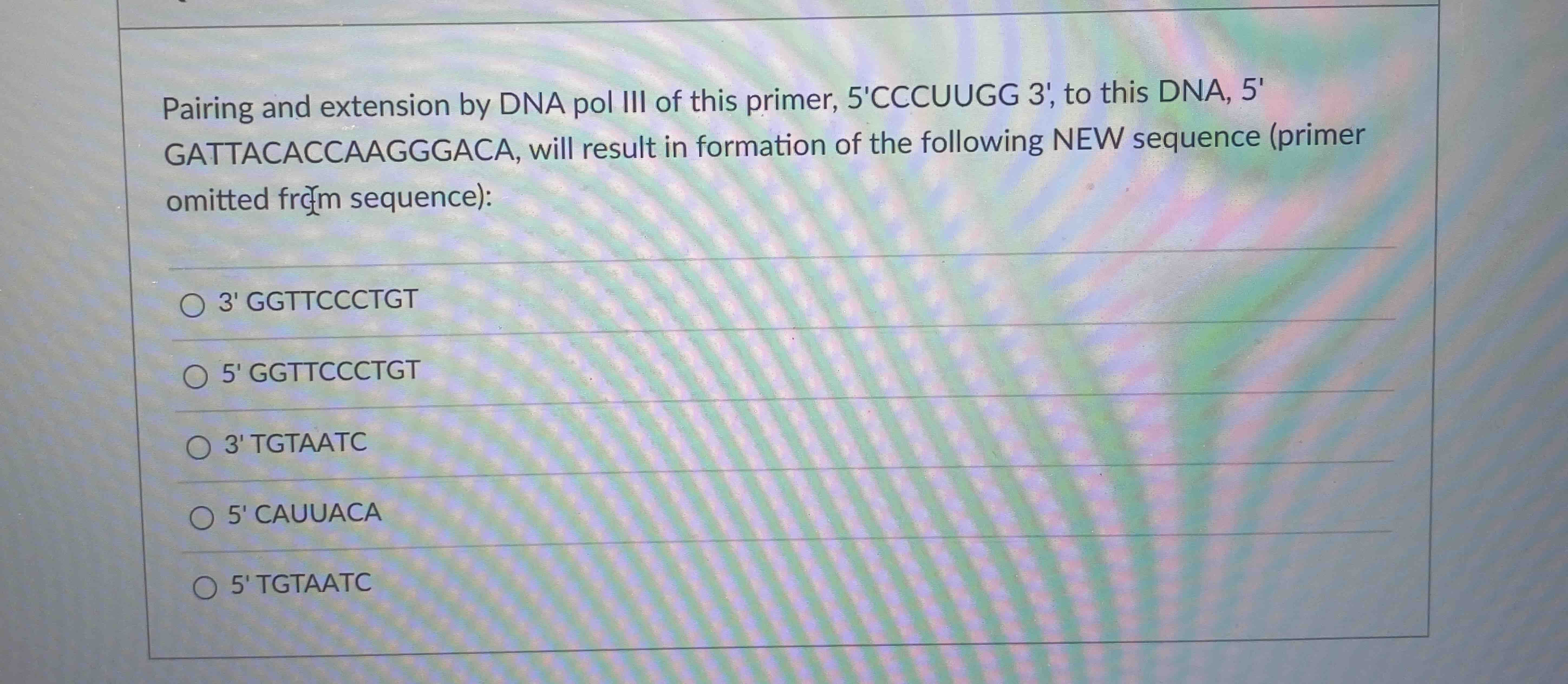 Solved 12The following single DNA strand, 5'CCCTTAAG 3', | Chegg.com