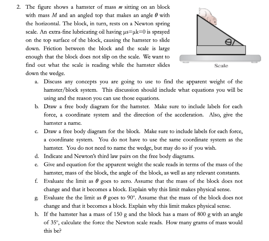 2. The figure shows a hamster of mass m sitting on an | Chegg.com