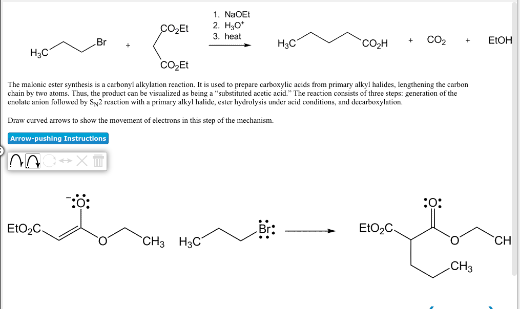 Solved 1. NaOEt 3. heat CO2H+ CO2 EtOH H3C CO2Et The malonic | Chegg.com