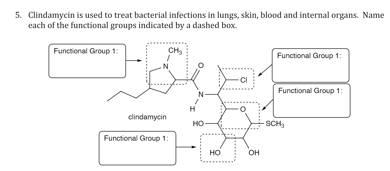 Solved Clindamycin is used to treat bacterial infections in | Chegg.com