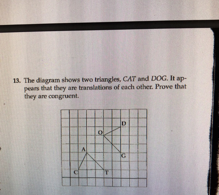 Solved 13. The diagram shows two triangles, CAT and DOG. It | Chegg.com