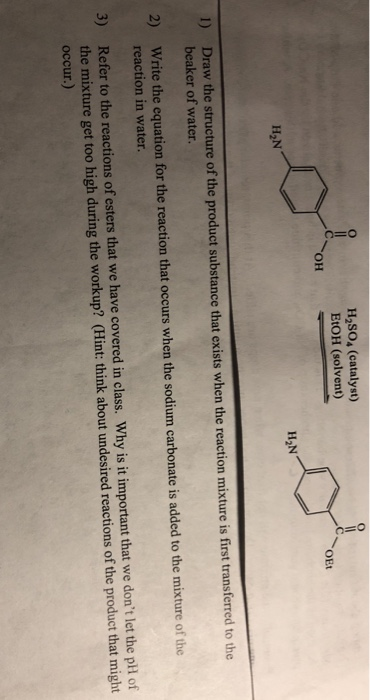 Solved H2SO4 (catalyst) EtOH (solvent) OH OEt H2N Draw the | Chegg.com