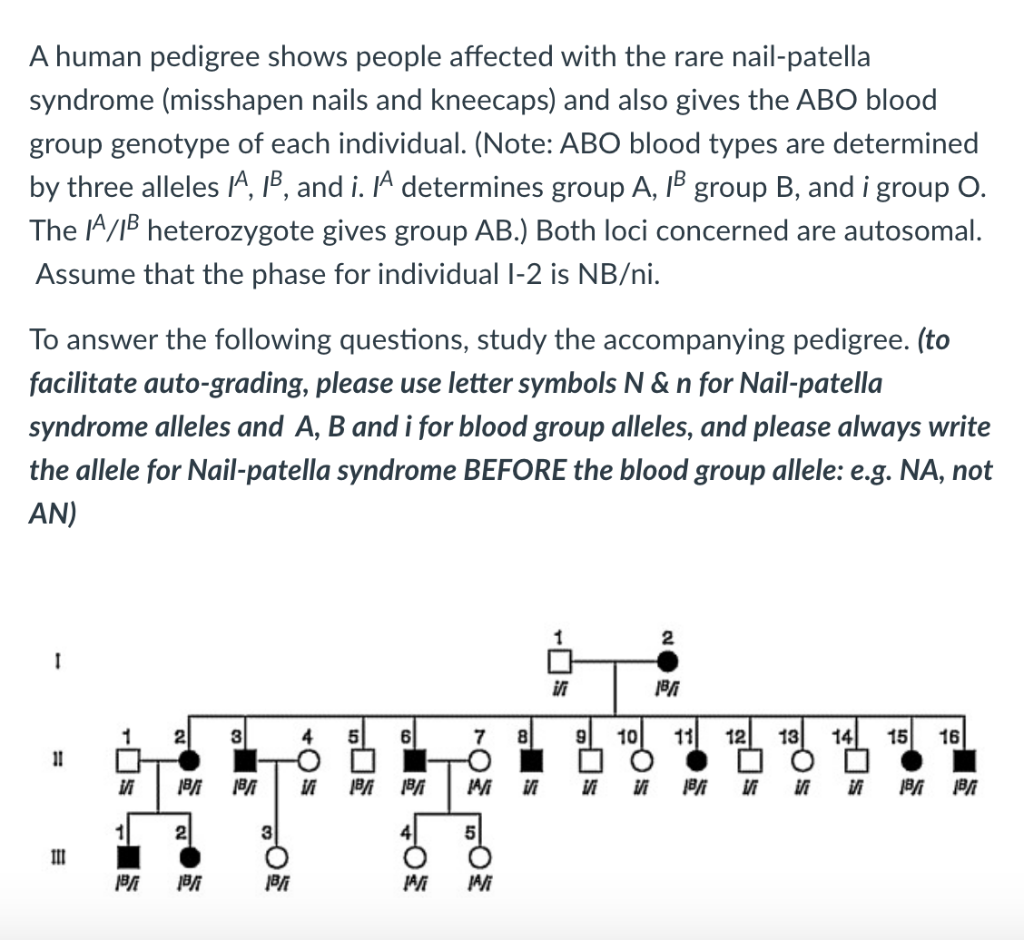 Solved A human pedigree shows people affected with the rare | Chegg.com