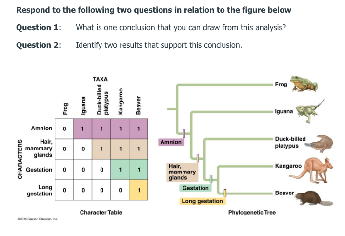 Solved Respond to the following two questions in relation to | Chegg.com